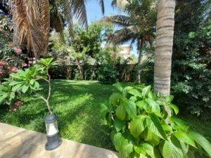 Ouakam à Dakar : Un Alliage de Traditionnel et de Moderne